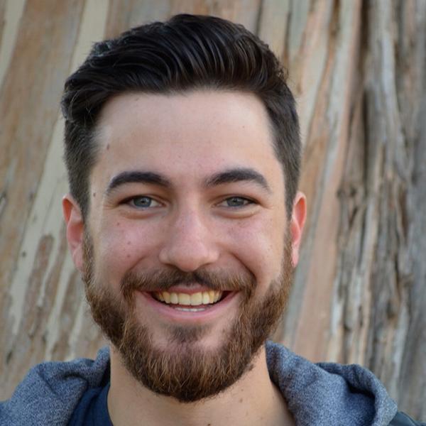 David Frankel - The Second City