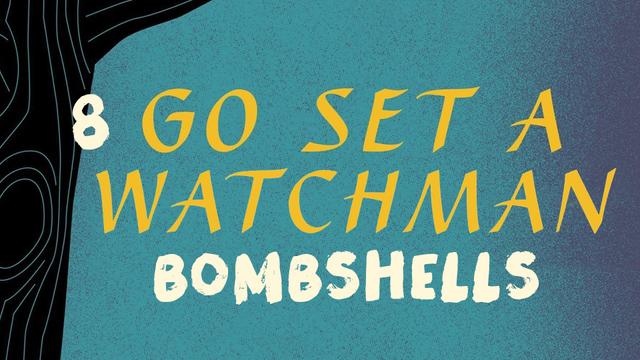 8 Bombshell Excerpts from 'Go Set a Watchman' - The Second City